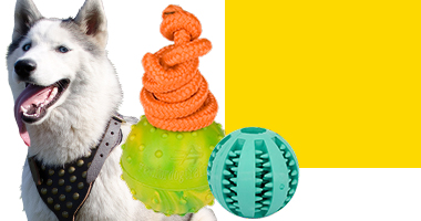 Canadian Dog Store: Muzzles, Harnesses, Collars, Leashes, Bite Tugs